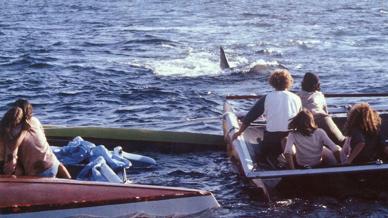 Jaws 2 – The Legacy of John Williams